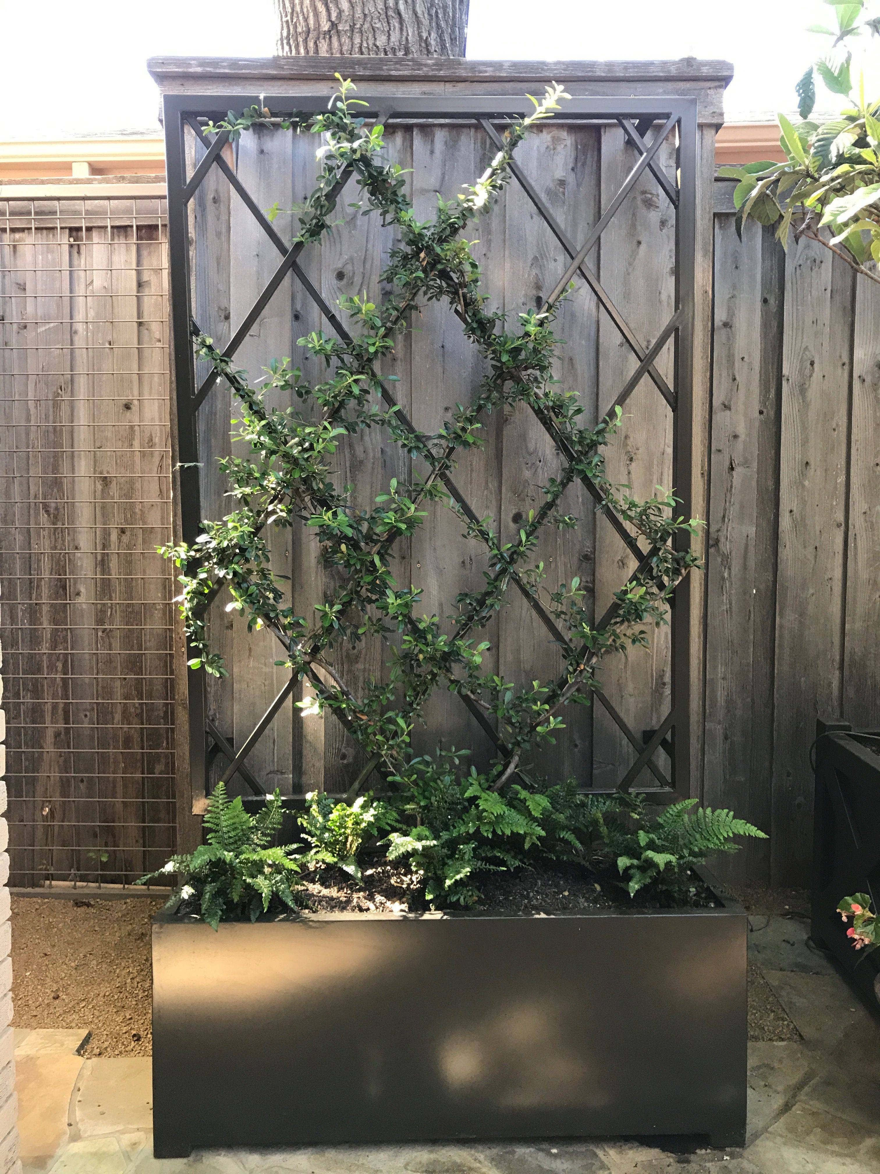 25 Container Garden Trellis Ideas You Cannot Miss | SharonSable