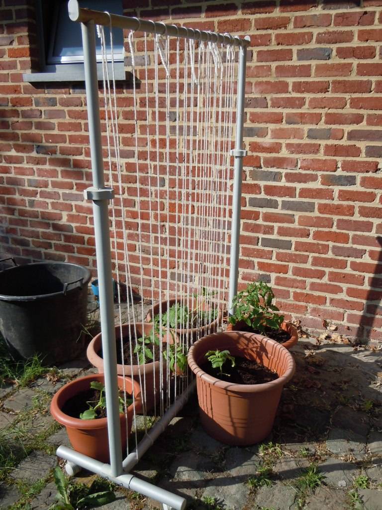 25 Container Garden Trellis Ideas You Cannot Miss | SharonSable