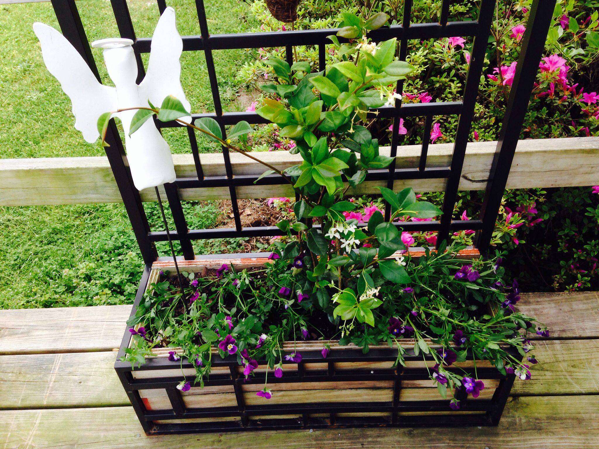 25 Container Garden Trellis Ideas You Cannot Miss | SharonSable