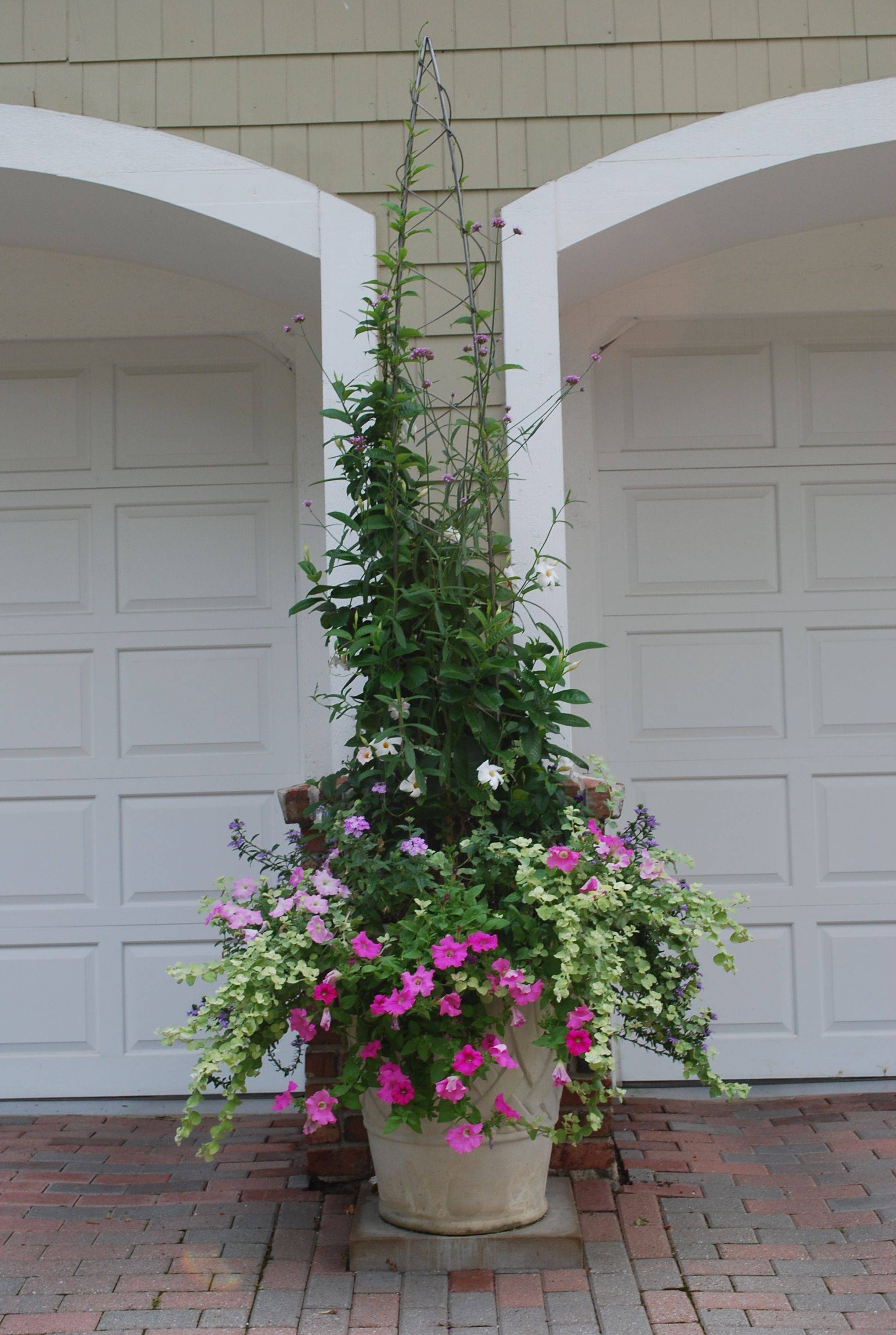 25 Container Garden Trellis Ideas You Cannot Miss | SharonSable