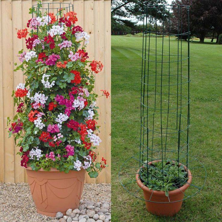 25 Container Garden Trellis Ideas You Cannot Miss | SharonSable