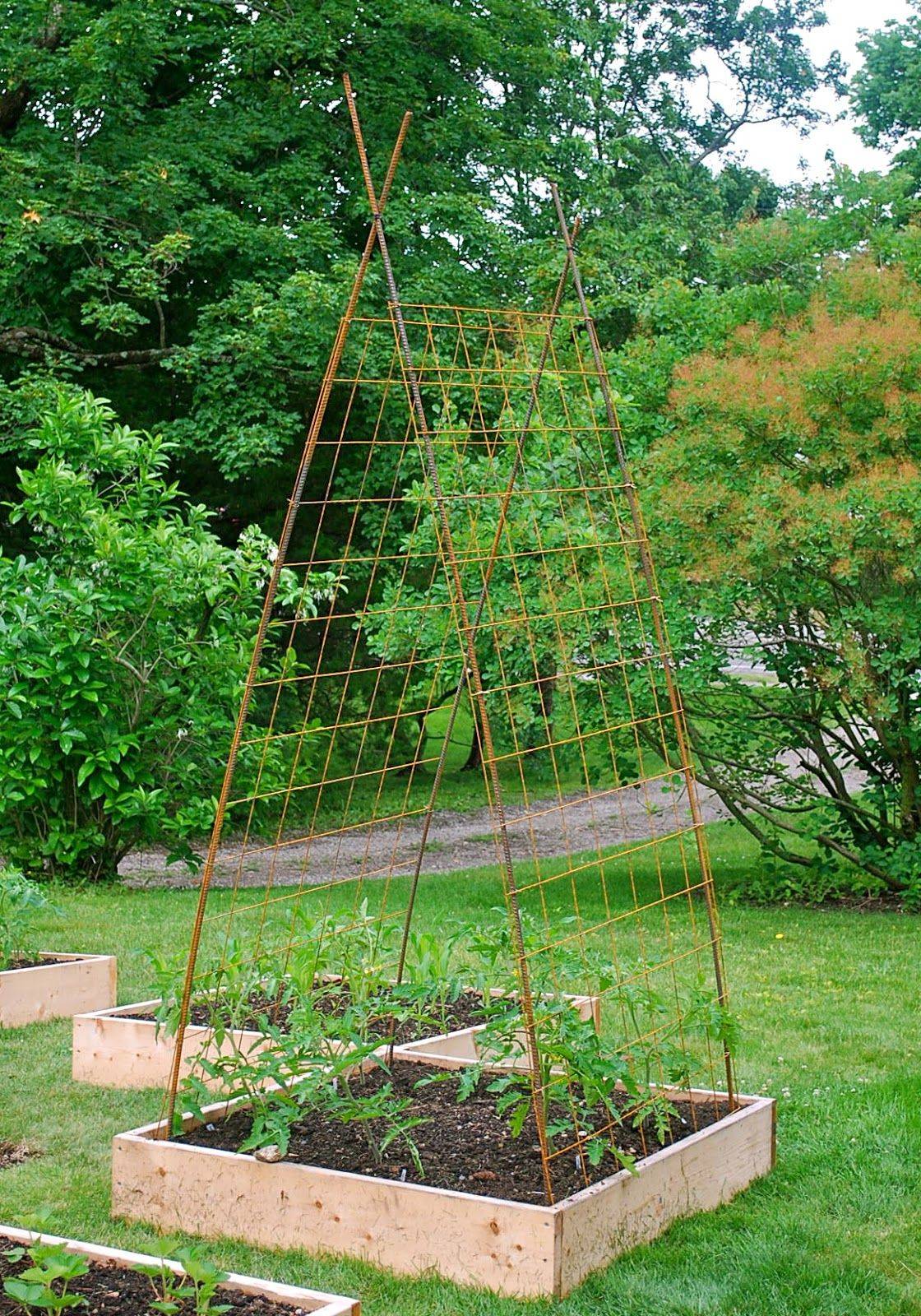 27 Tomato Trellis Garden Ideas You Gonna Love | SharonSable
