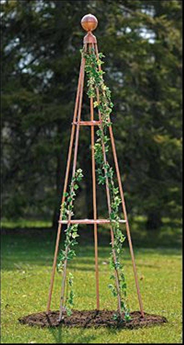 19 Metal Pyramid Garden Trellis Ideas Worth a Look | SharonSable