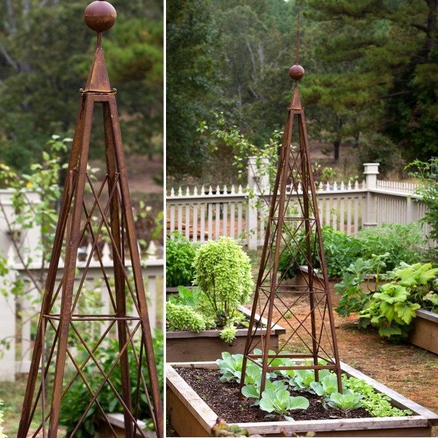 19 Metal Pyramid Garden Trellis Ideas Worth a Look | SharonSable