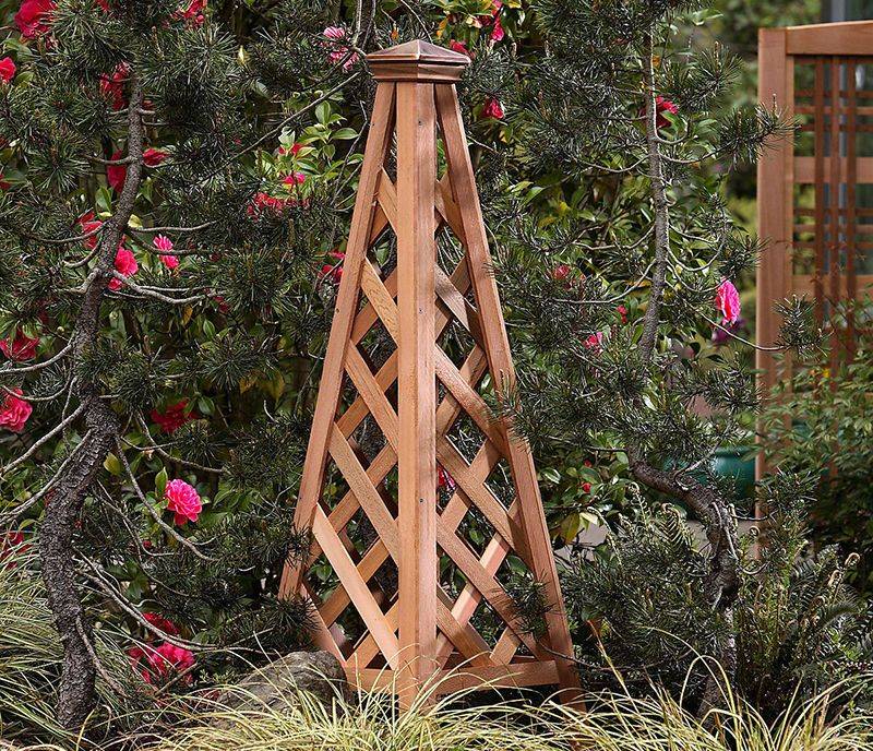19 Metal Pyramid Garden Trellis Ideas Worth a Look | SharonSable