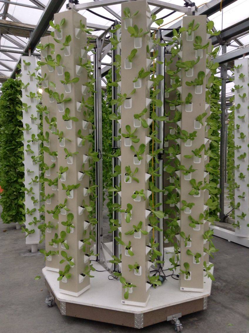 22 Aeroponic Vertical Garden Ideas For This Year | SharonSable
