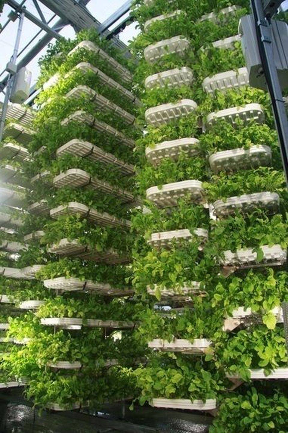 22 Vertical Hydroponic Vegetable Garden Ideas You Cannot Miss | SharonSable