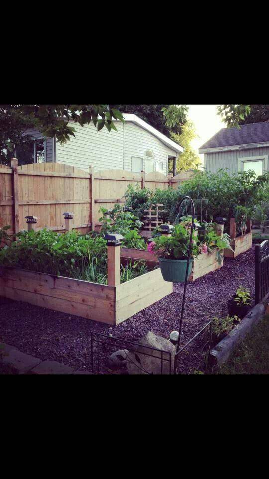 22 Square Foot Garden Boxes Ideas To Consider | SharonSable