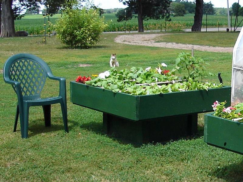 22 Square Foot Garden Boxes Ideas To Consider | SharonSable
