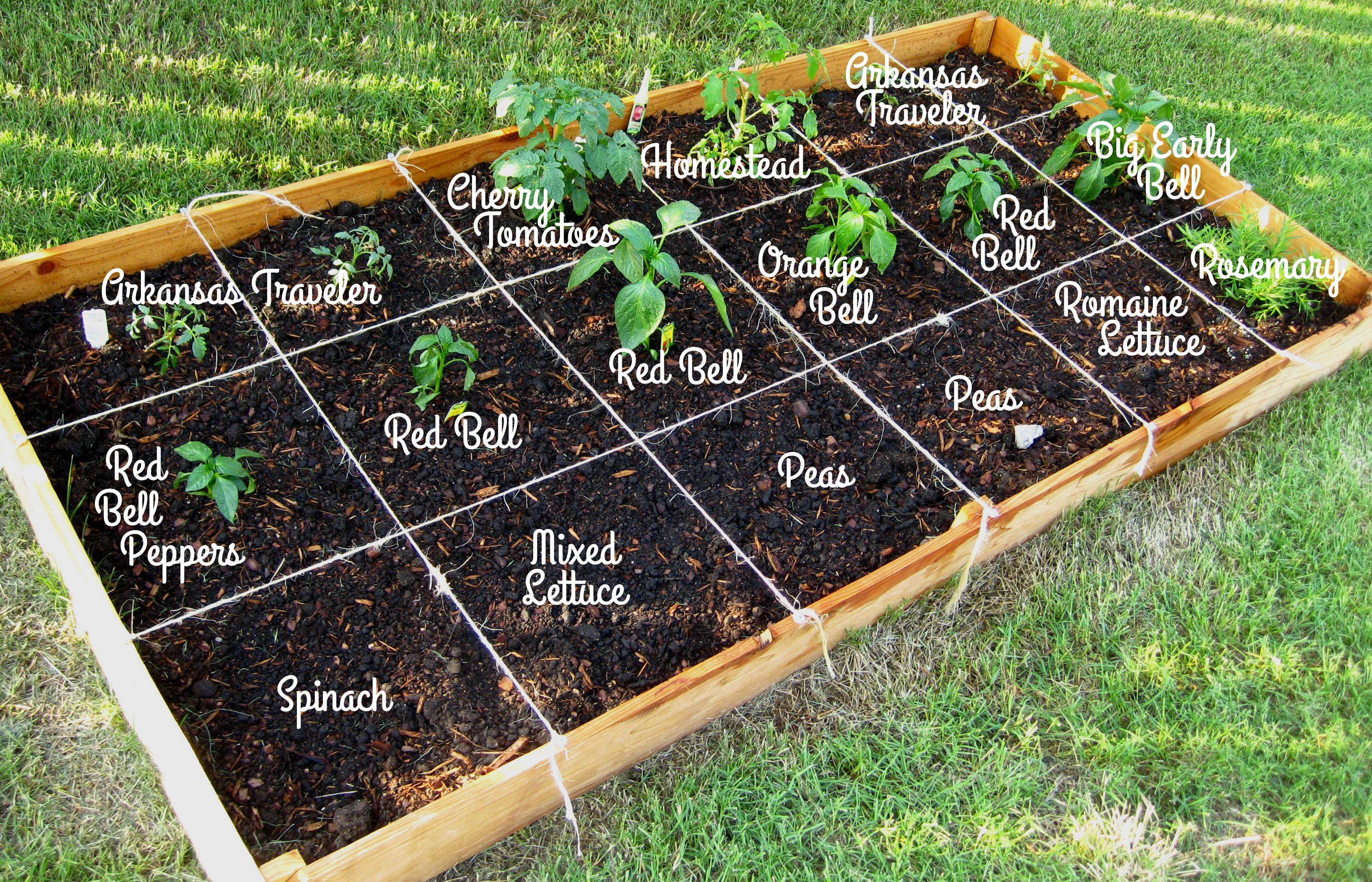 22 Square Foot Garden Boxes Ideas To Consider | SharonSable