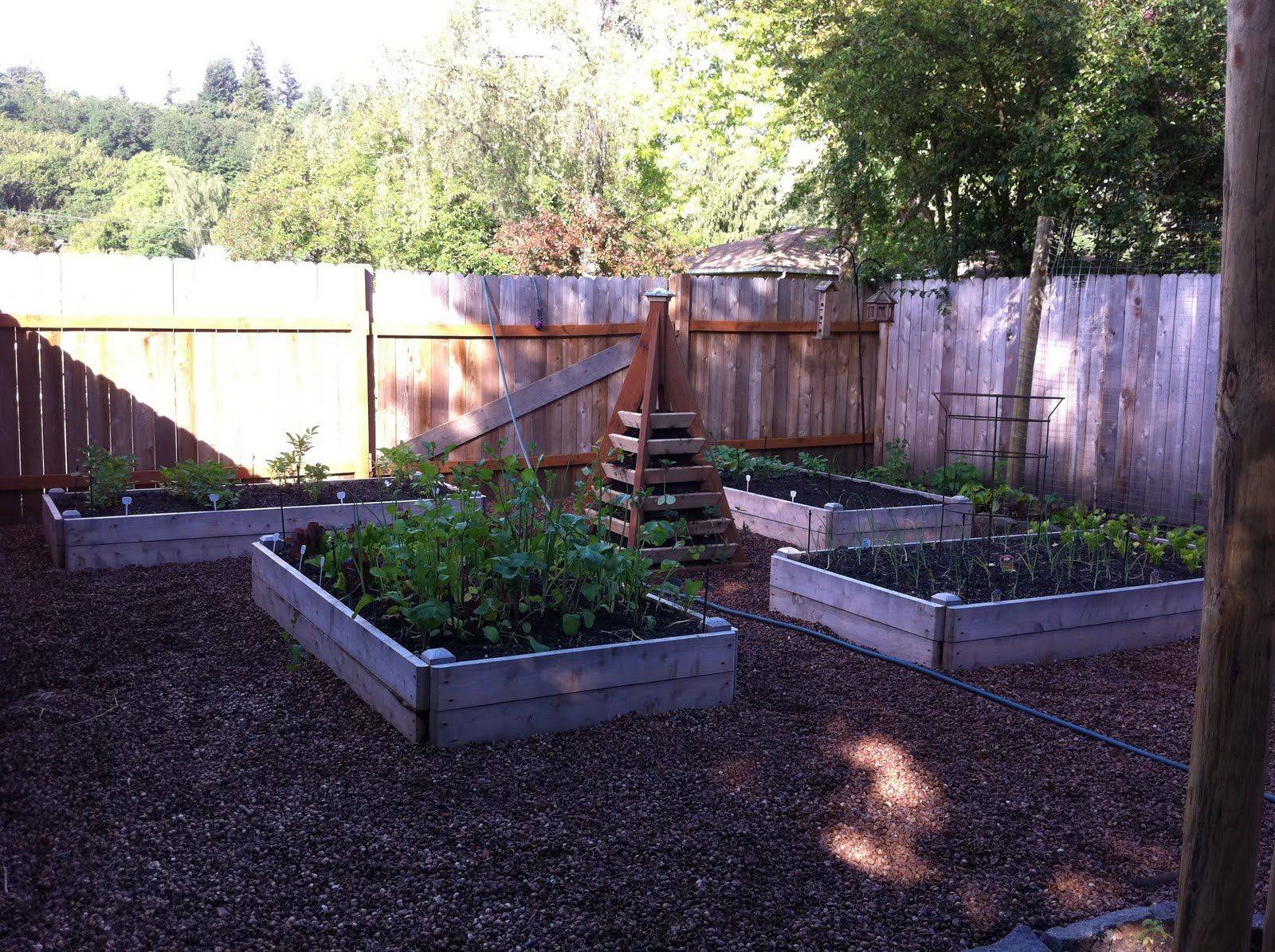 22 Square Foot Garden Boxes Ideas To Consider | SharonSable