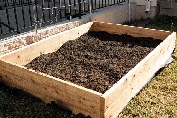 22 Square Foot Garden Boxes Ideas To Consider | SharonSable