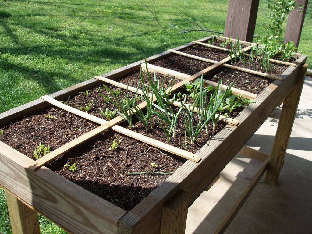 22 Square Foot Garden Boxes Ideas To Consider | SharonSable