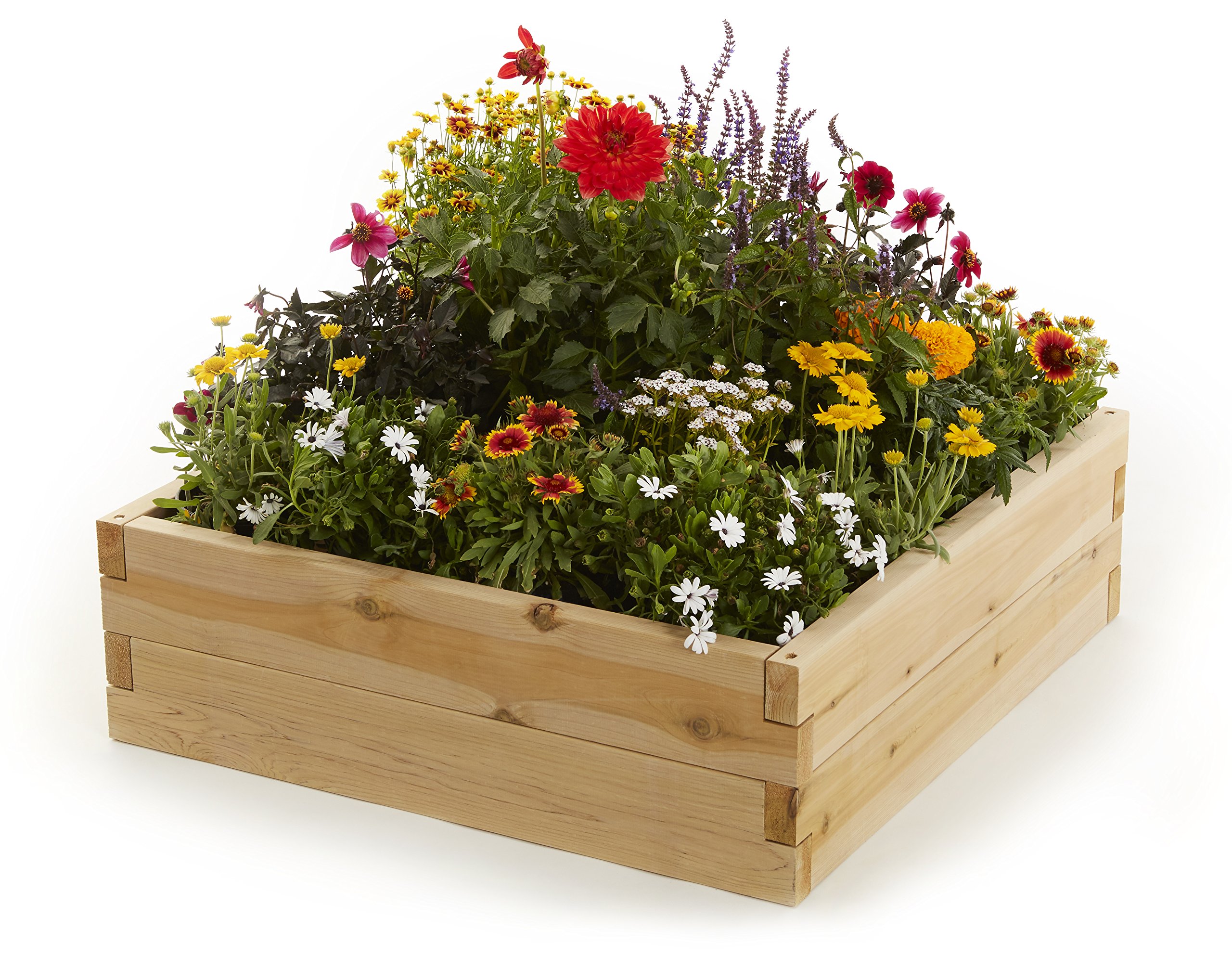 18 Square Raised Garden Bed Ideas To Consider | SharonSable