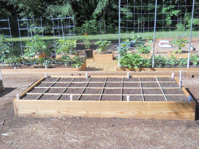 17 Square Foot Garden Grid Ideas To Consider | SharonSable