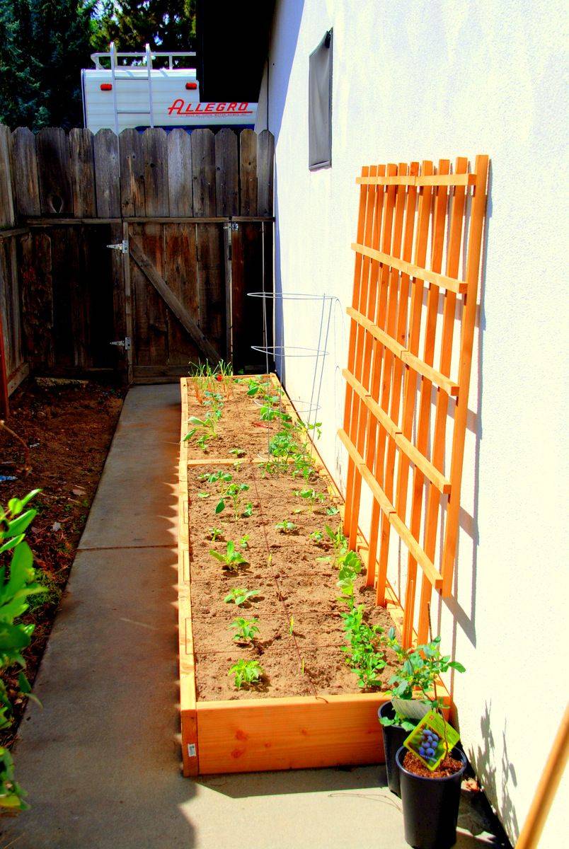 21 Square Foot Garden Fence Ideas Worth a Look | SharonSable
