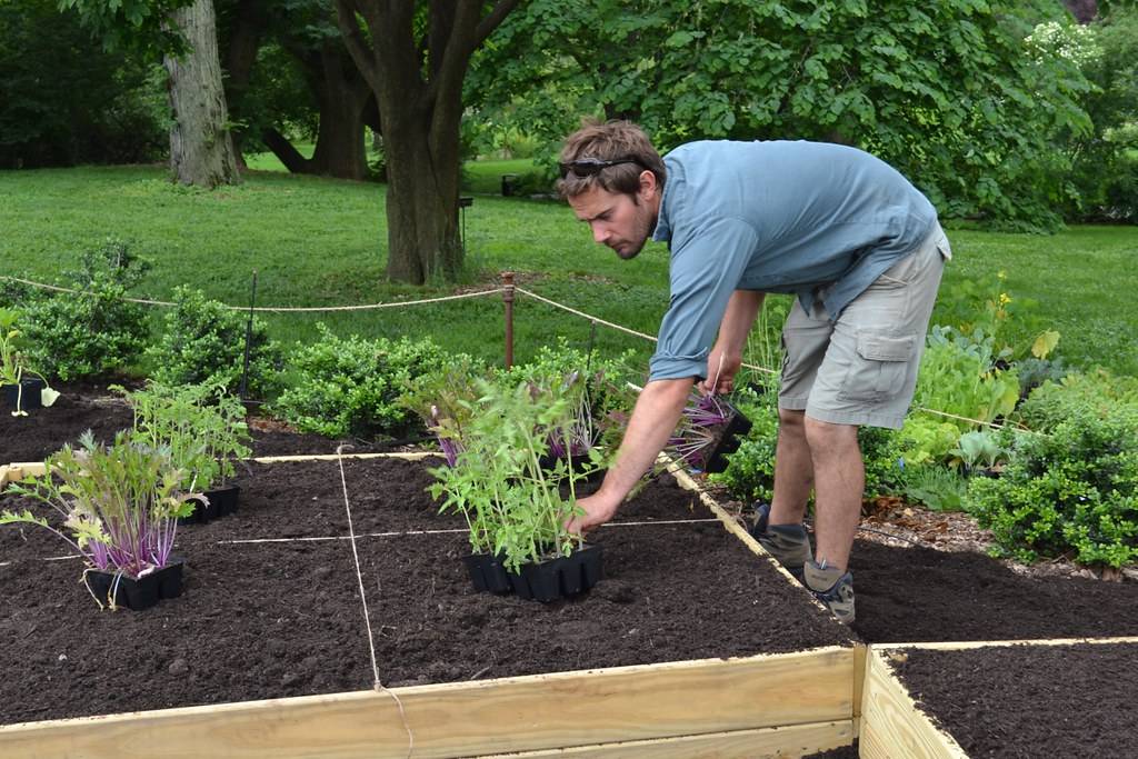 18 Raised Bed Lasagna Gardening Ideas To Consider | SharonSable