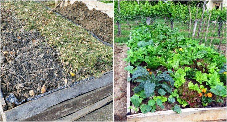 18 Raised Bed Lasagna Gardening Ideas To Consider | SharonSable
