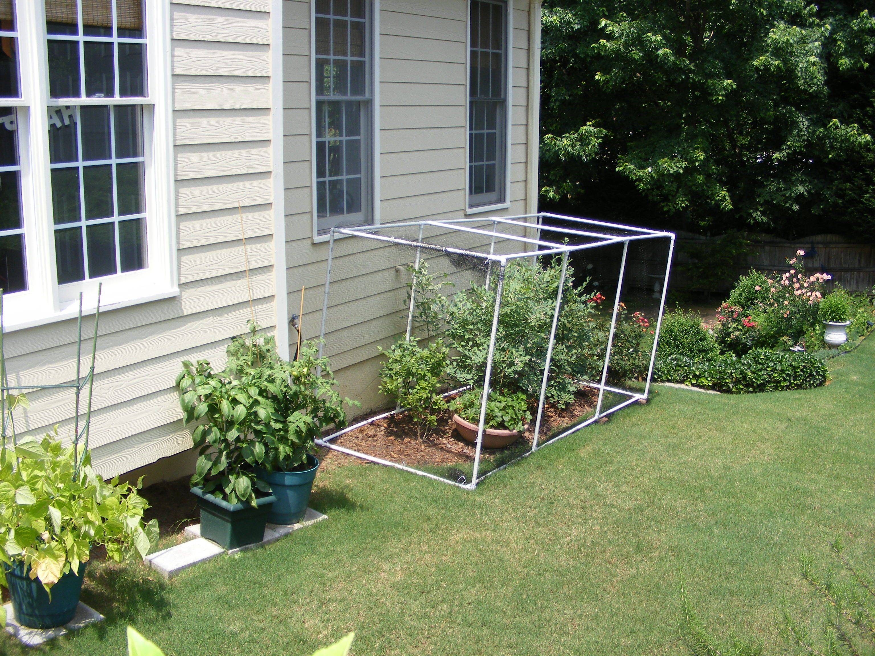 22 Square Foot Garden Cage Ideas You Should Look | SharonSable
