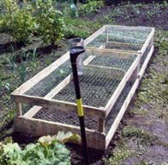 22 Square Foot Garden Cage Ideas You Should Look | SharonSable