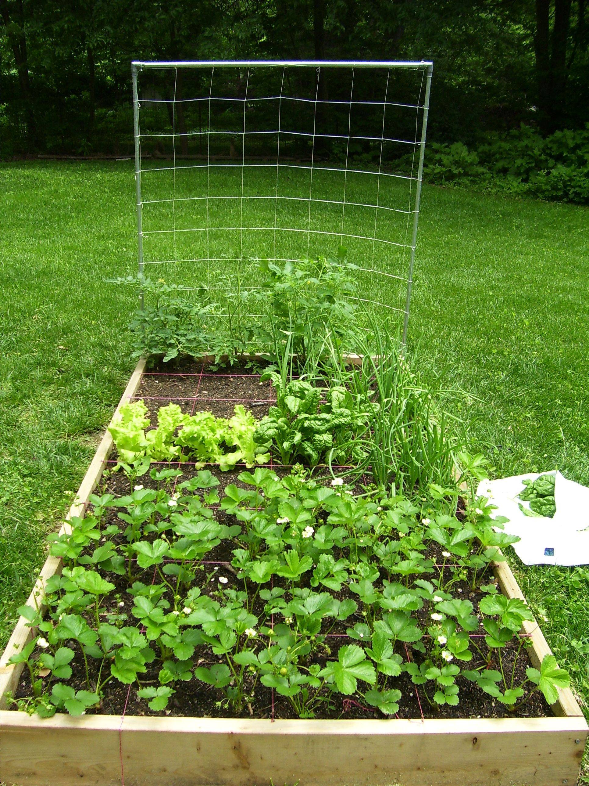 20 Square Gardening Ideas To Consider | SharonSable