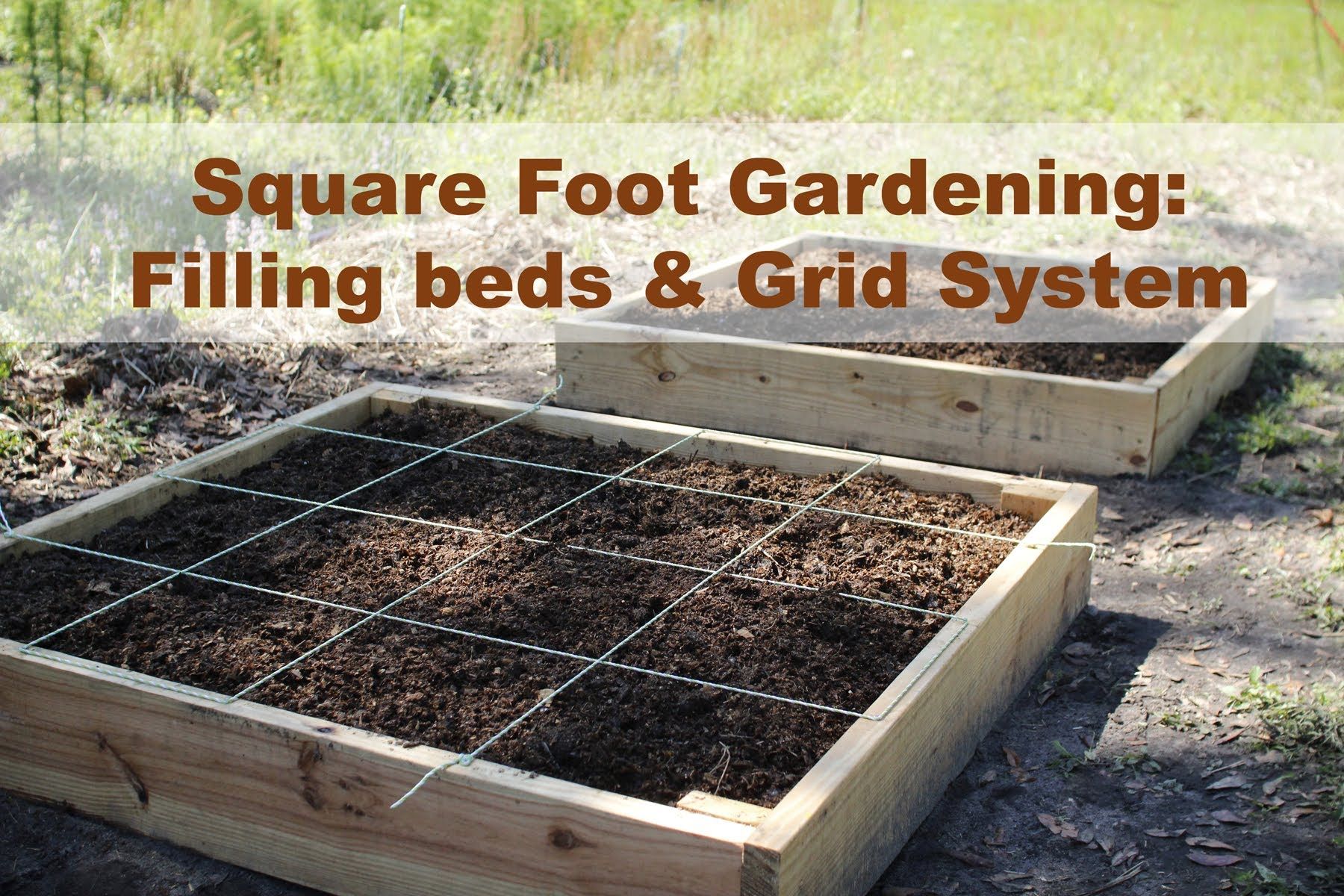 13 Square Foot Gardening Grid Ideas You Should Check | SharonSable