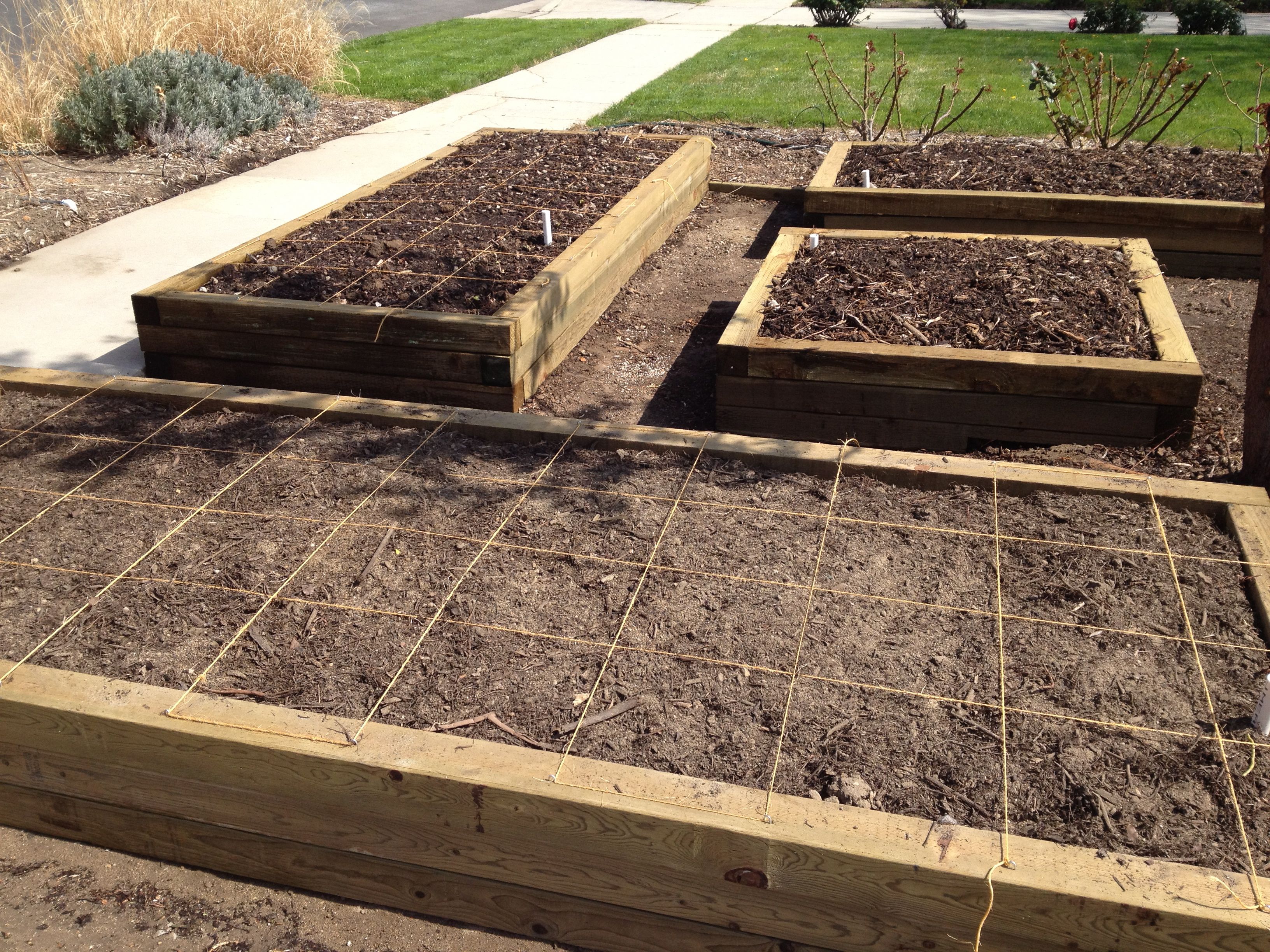 13 Square Foot Gardening Grid Ideas You Should Check | SharonSable