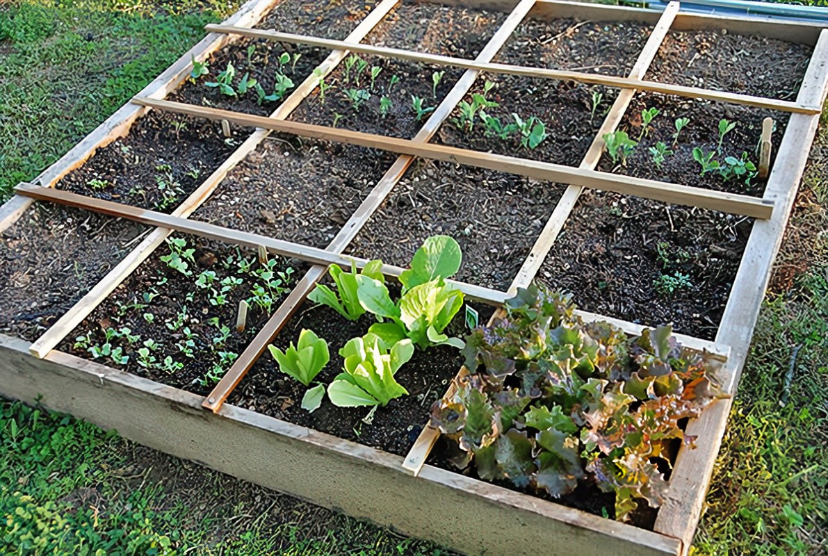 13 Square Foot Gardening Grid Ideas You Should Check | SharonSable