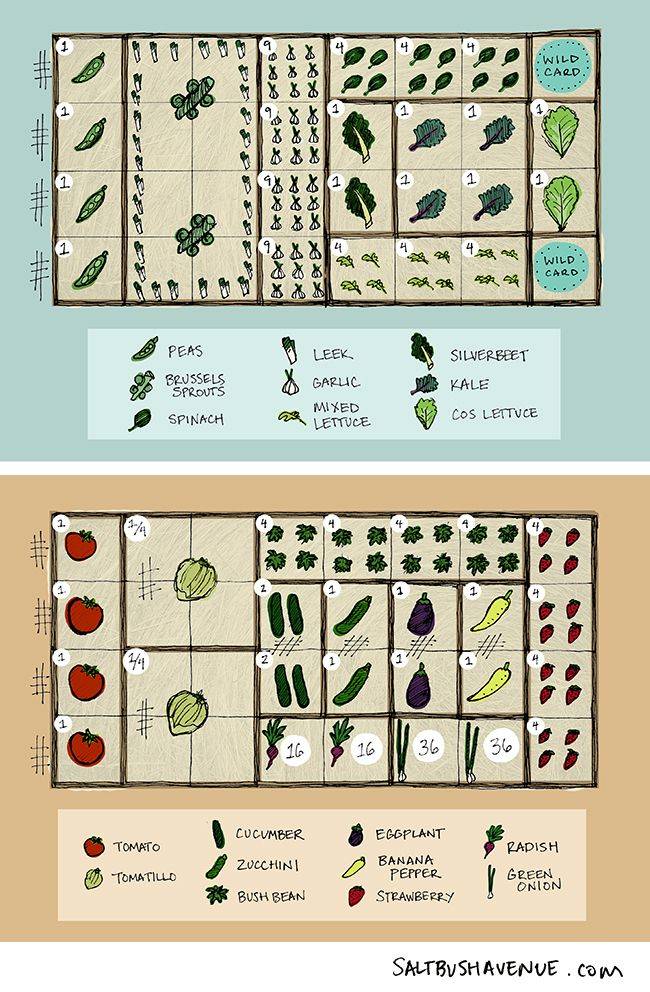 20 Square Foot Gardening Planting Chart Ideas You Cannot Miss | SharonSable