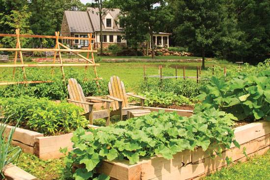 20 Square Root Gardening Ideas To Consider | SharonSable