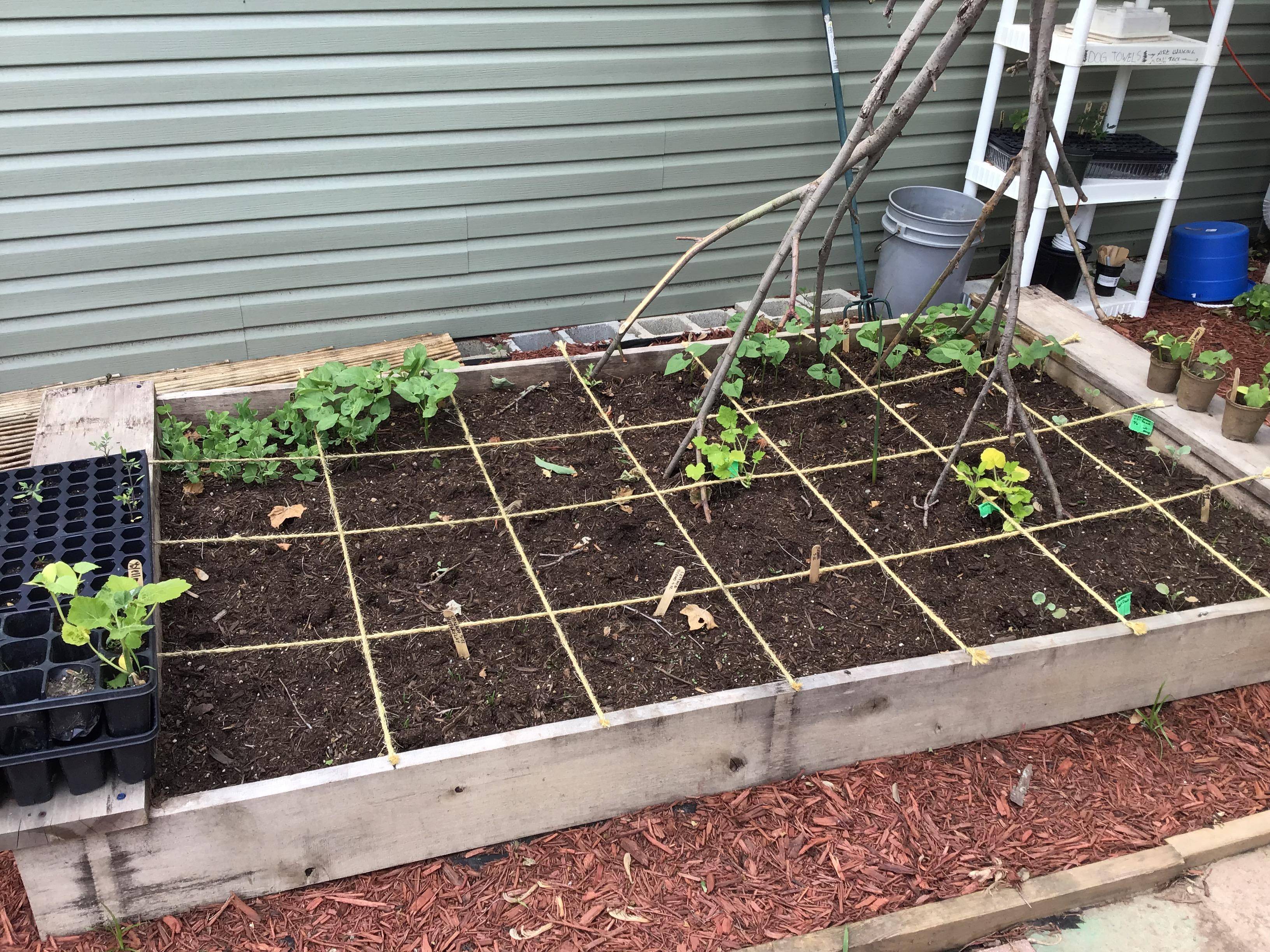 20 Square Root Gardening Ideas To Consider | SharonSable