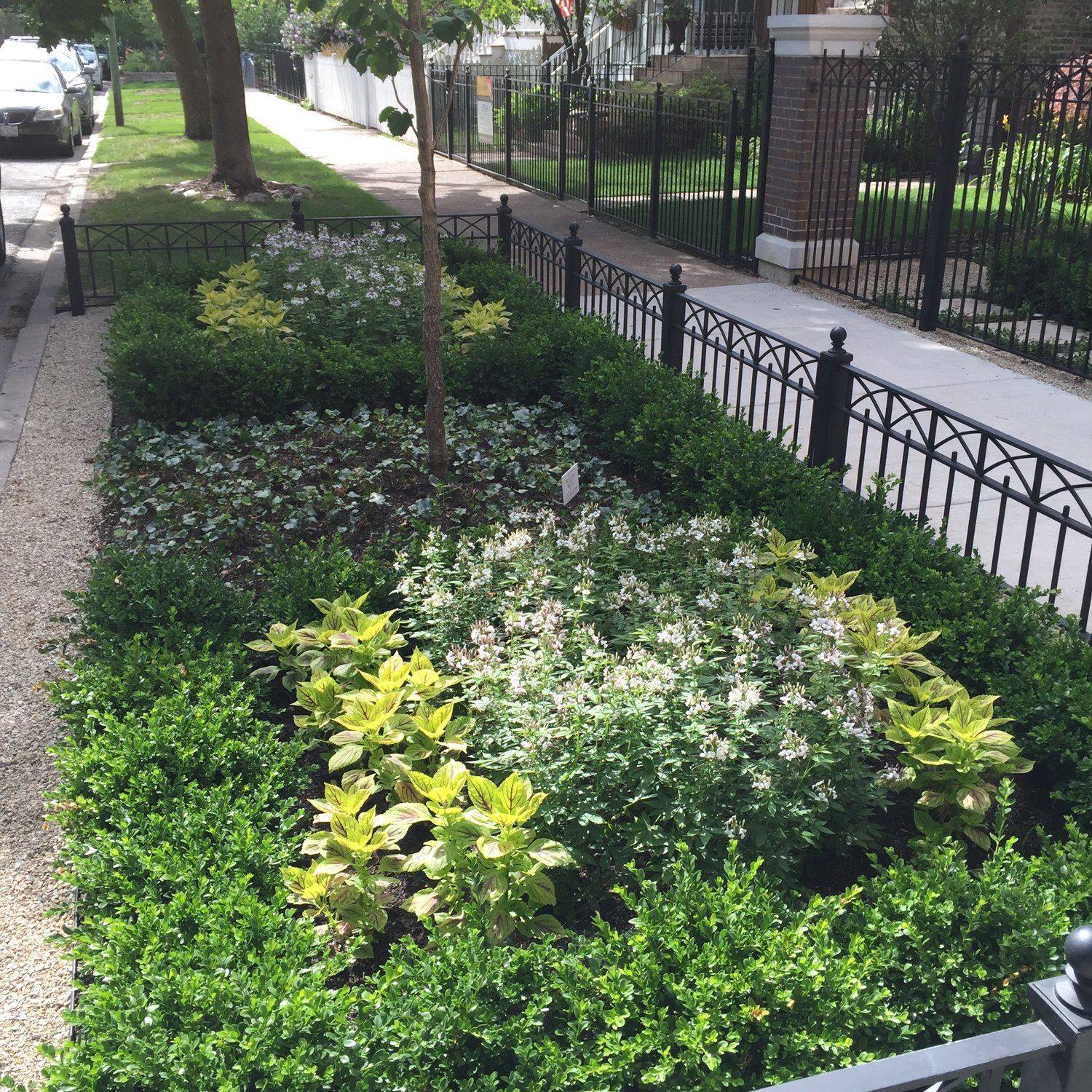 20 Square Root Gardening Ideas To Consider | SharonSable