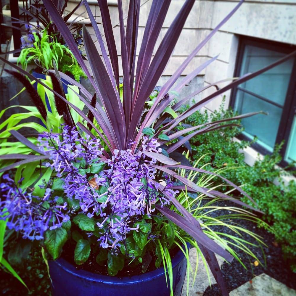 20 Square Root Gardening Ideas To Consider | SharonSable