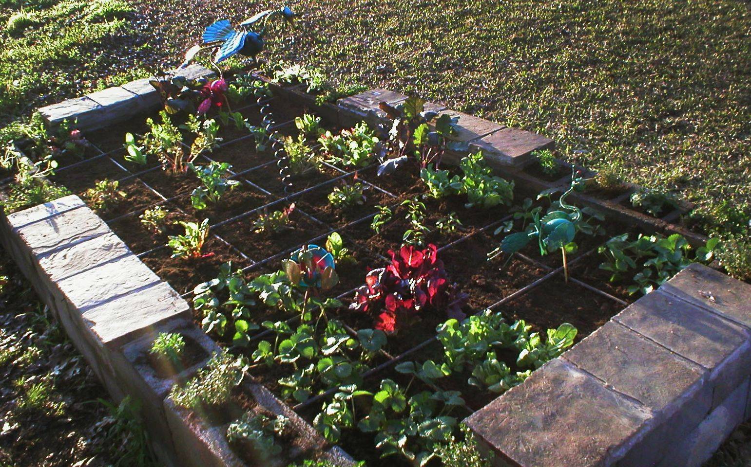 20 Square Root Gardening Ideas To Consider | SharonSable