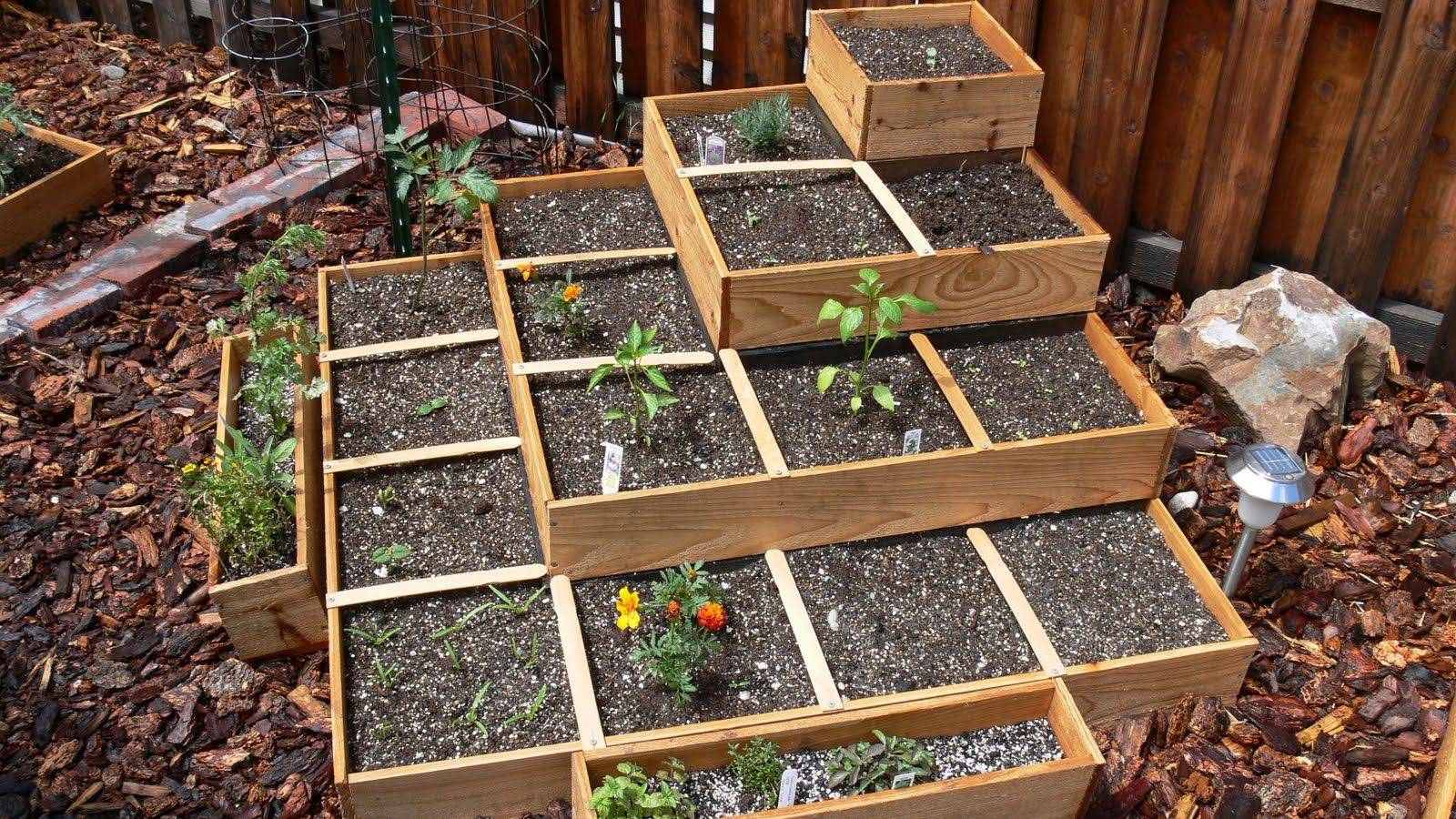 20 Square Root Gardening Ideas To Consider | SharonSable
