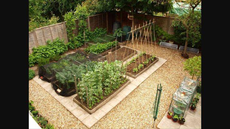20 Layout 3X6 Vegetable Garden Texas Ideas For This Year | SharonSable