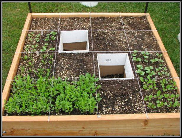 20 Layout 3X6 Vegetable Garden Texas Ideas For This Year | SharonSable