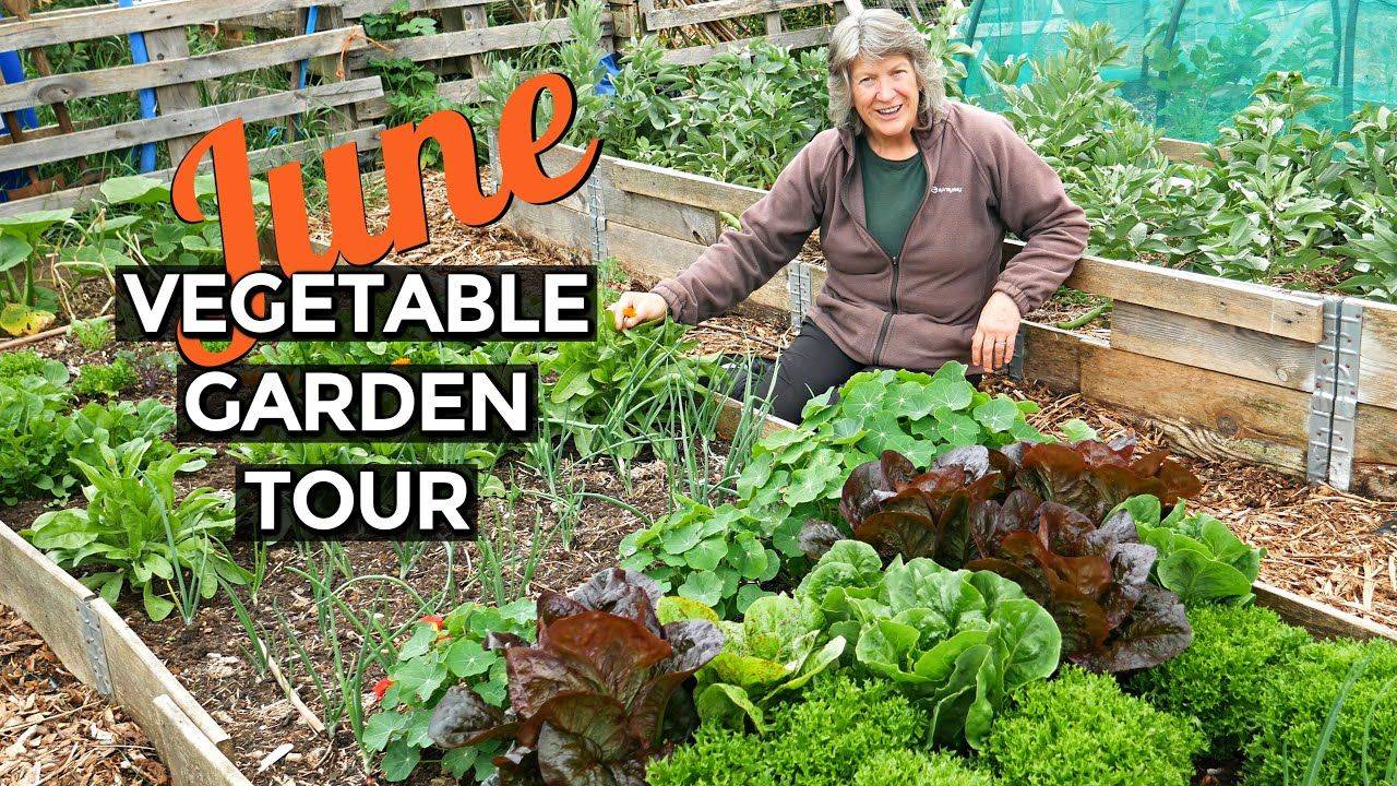 20 Homestead Vegetable Garden Ideas You Must Look | SharonSable