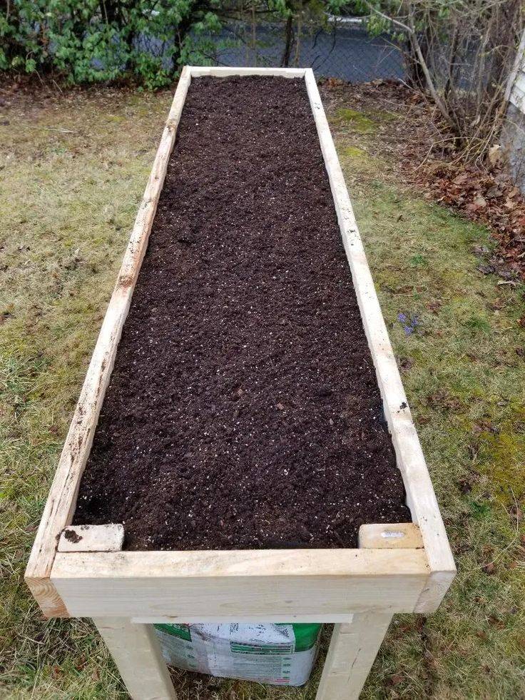 16 Rabbit Proof Raised Garden Bed Ideas You Should Check Sharonsable