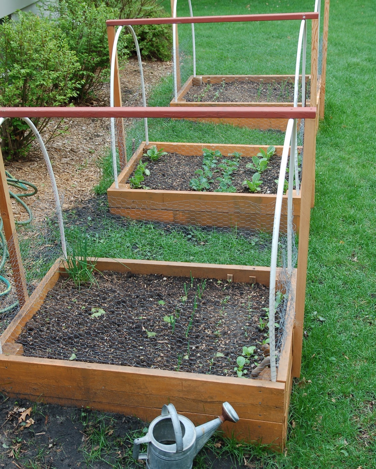 16 Rabbit-Proof Raised Garden Bed Ideas You Should Check | SharonSable