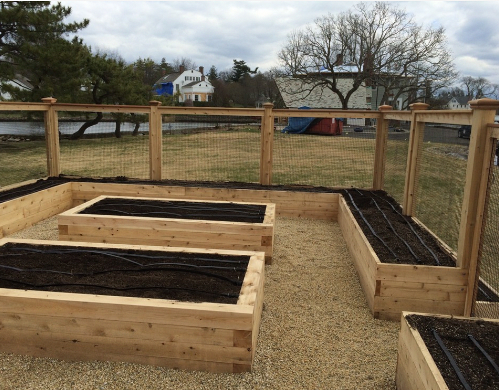 16 Rabbit-Proof Raised Garden Bed Ideas You Should Check | SharonSable