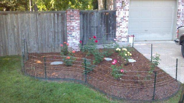 24 Rabbit-Proof Garden Gate Ideas Worth to Check | SharonSable