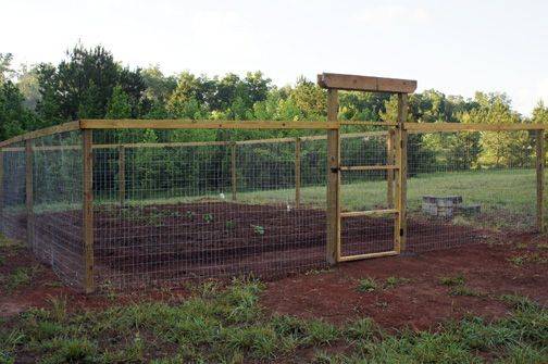 24 Rabbit-Proof Garden Gate Ideas Worth to Check | SharonSable