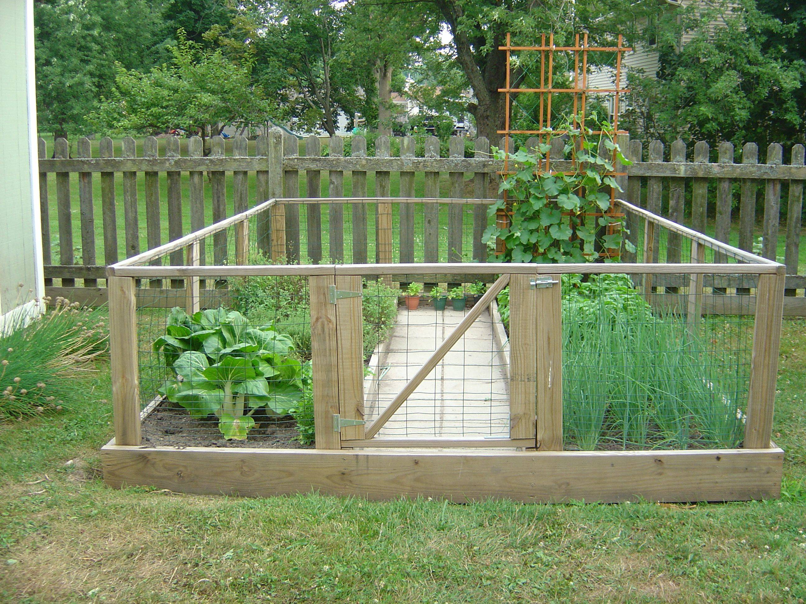 24 Rabbit-Proof Garden Gate Ideas Worth to Check | SharonSable