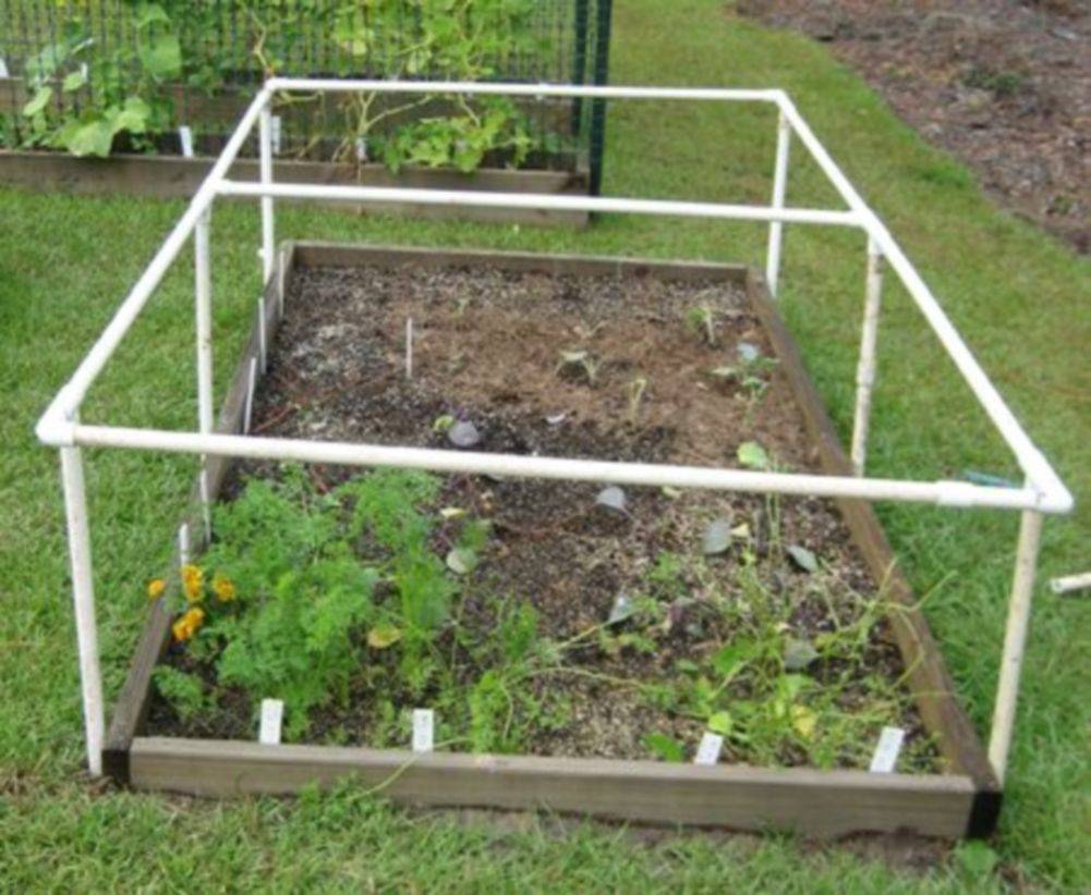 16 Raised Garden Beds with PVC Pipe Ideas You Should Look | SharonSable