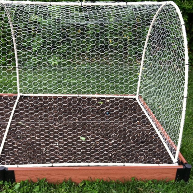 23 Raised Bed Garden with Chicken Wire Ideas To Consider | SharonSable