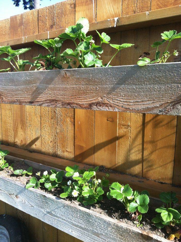 22 Garden Boxes Front Yard Ideas To Try This Year | SharonSable