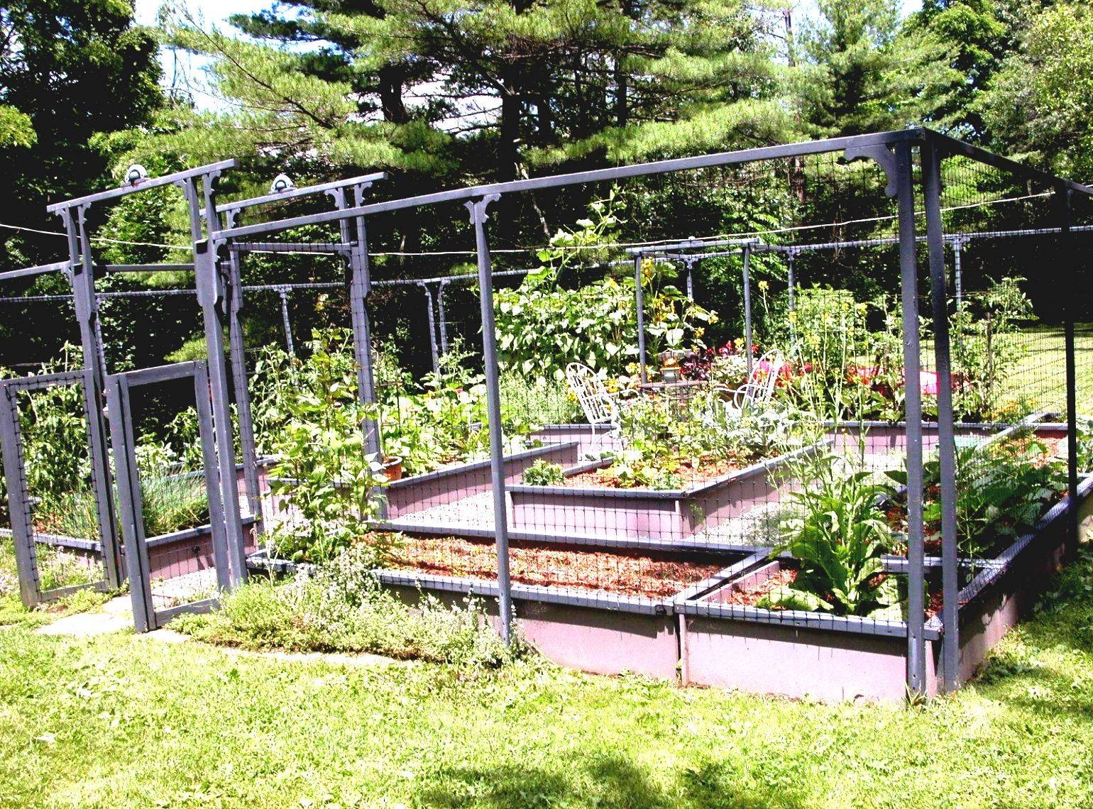 22 Front Yard Vegetable Garden Fences Ideas You Should Look | SharonSable