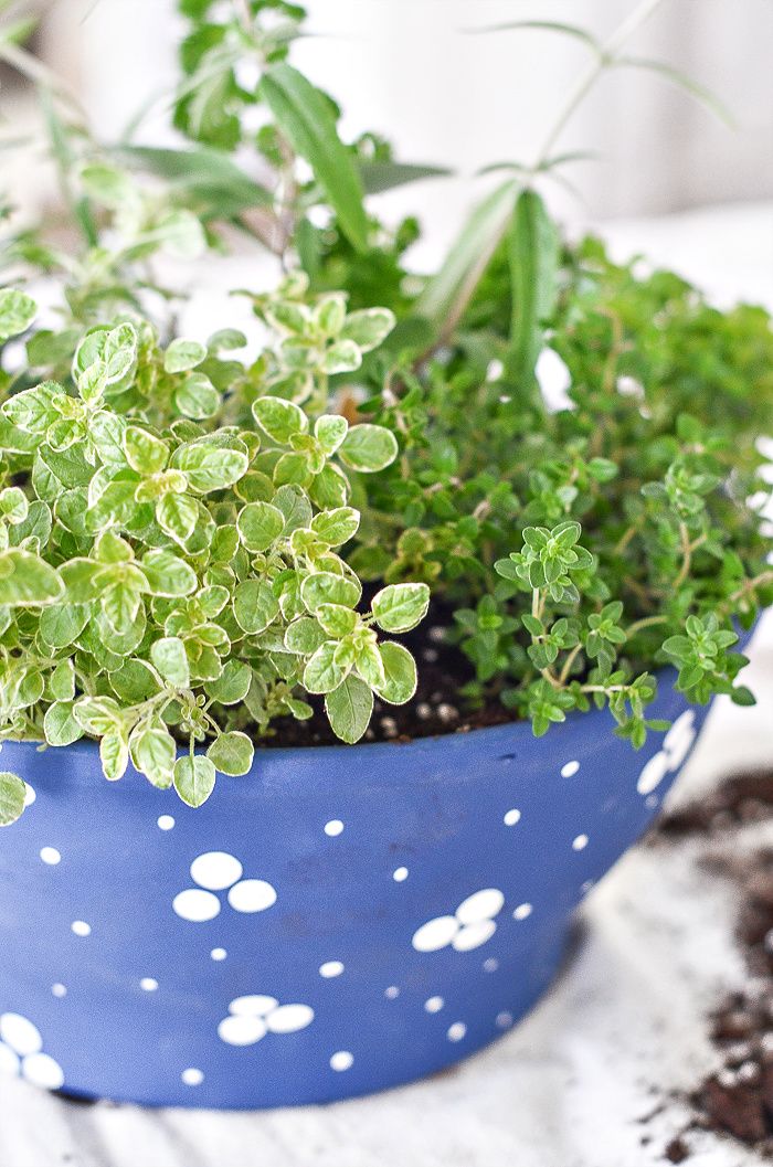 21 Pretty Herb Garden Ideas For This Year | SharonSable