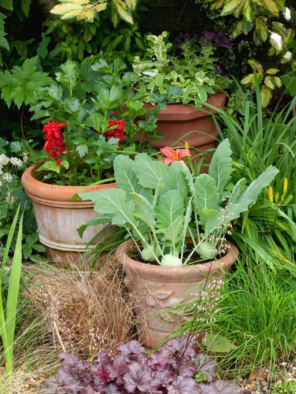 22 Edible Container Garden Ideas You Should Look Sharonsable
